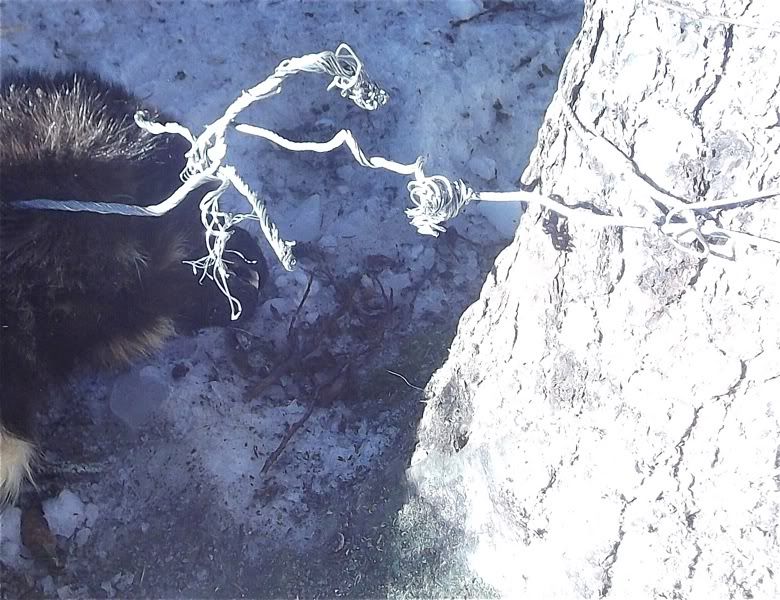 wolverine set question - Trapperman Forums